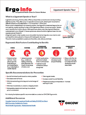 Global Ergonomics Month